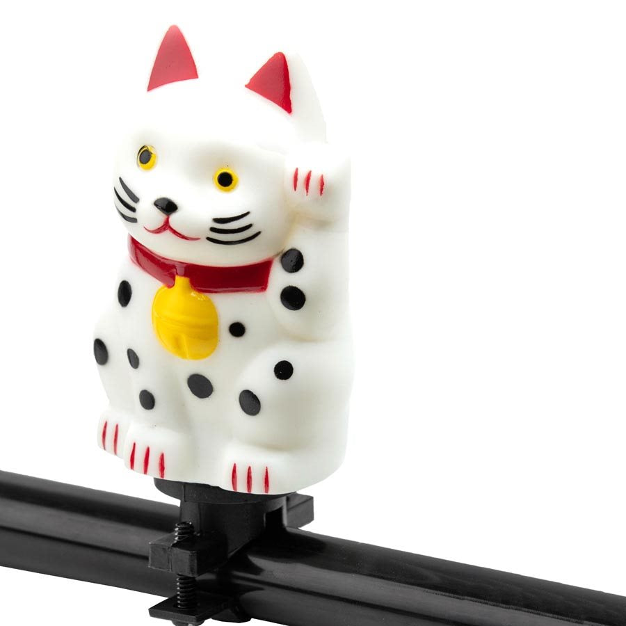 EVO Honk, Honk – Bike Ahead